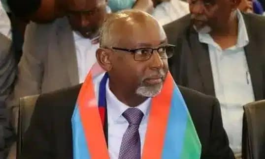 ONLF Asks Ethiopian Military Chief to Clarify his Remarks