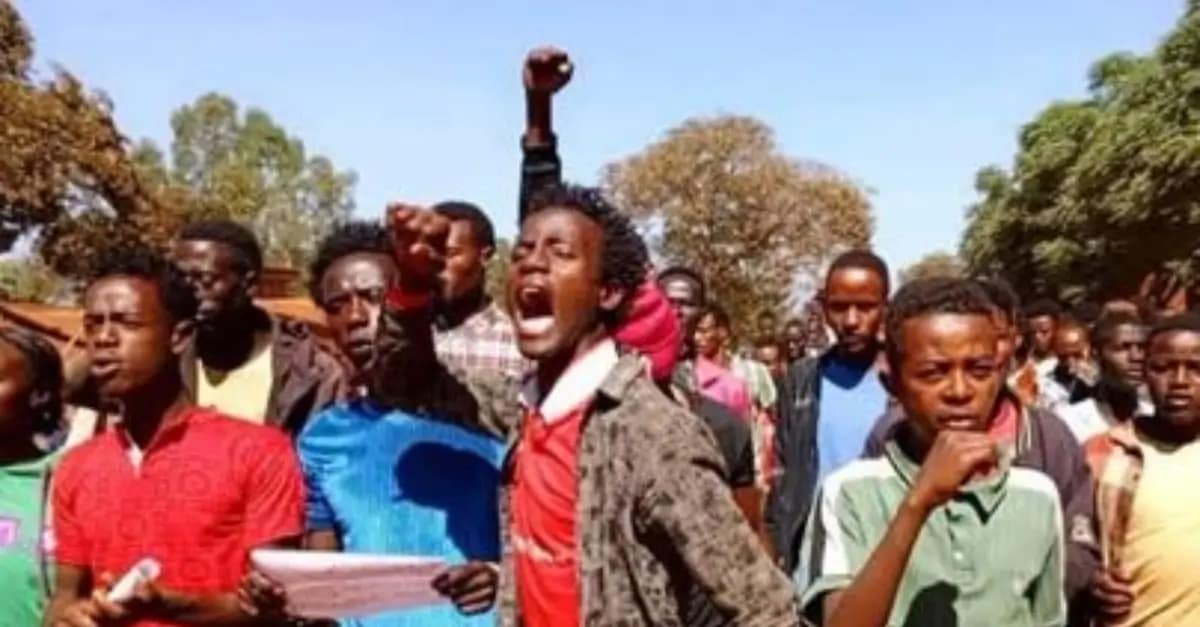 2-Day Ban on Transport in Guji Oromia Lifted