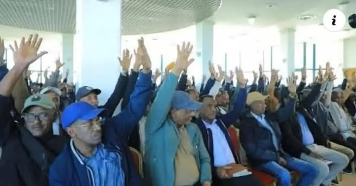 Tigray Military Accuses Tigray Govt of Undermining Tigray's Interests
